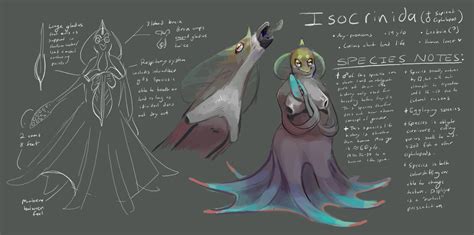 Sapient Cephalopod R Speculativeevolution