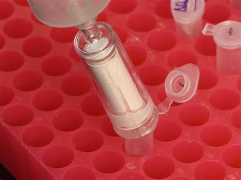 Video An Aquatic Microbial Metaproteomics Workflow From Cells To Tryptic Peptides Suitable For