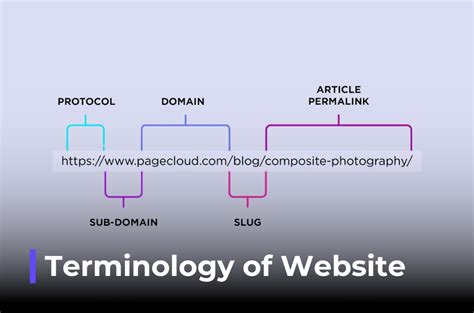 Terminology For Web Design Languages For Website You Should Know Canhcam
