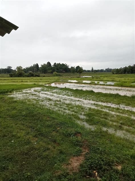 ວິທະຍຸກະຈາຍສຽງ ແຂວງສະຫວັນນະເຂດ ບ້ານແກ້ງກອກ ເມືອງຈຳພອນສໍາເລັດການຈັດງານບຸນ ພະເຫວດ ປະຈຳປີ 2023