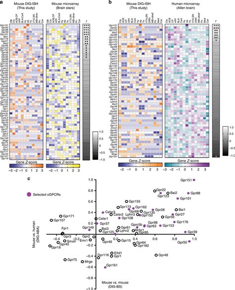 Correlation Analyses Of Dig Ish Data With Public Genome Wide Microarray