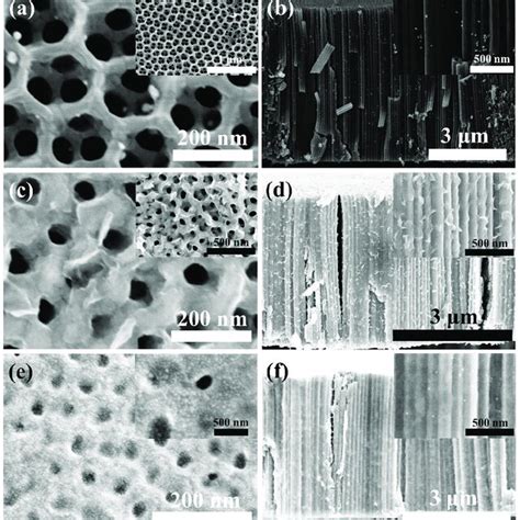 SEM Images Of A B TiO2 Nanotube Au Nanoparticle TiO2 NT Au NP Download Scientific Diagram