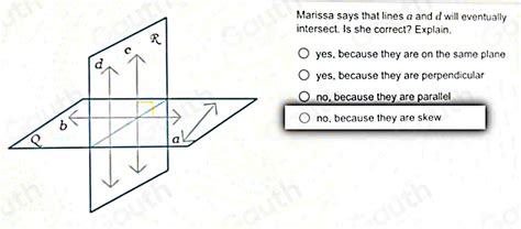 Solved Marissa Says That Lines A And D Will Eventually Intersect Is