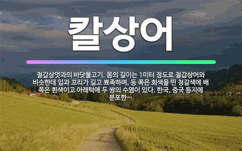 🌟칼상어 철갑상엇과의 바닷물고기 몸의 길이는 1미터 정도로 철갑상어와 비슷한데 입과 꼬리가 길고 뾰족하 표준국어대사전