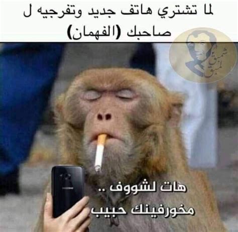 ボード「صور مضحكه」のピン