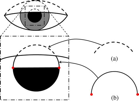 Binocular Gaze Detection Method Using A Fuzzy Algorithm Based On