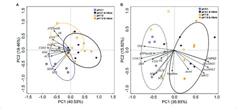 A Principle Component Analysis Pca Ordination Biplot Of Ocean Download Scientific Diagram