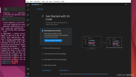 Ubuntu 22 04安装vscode