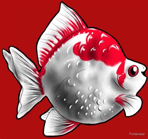 Red And White Ryukin By Furiarossa Redbubble