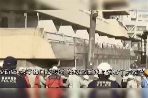 男子出门散步发现电线上挂着个大家伙走近一看给男子乐坏了 男子 电线