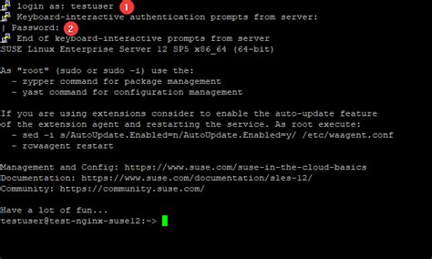 Usage Guidelines Suse Enterprise 12 With Nginx Virtual Pulse Sro