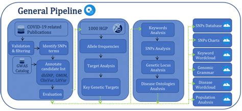 Summarized Workflow Of The Study S Analysis Download Scientific Diagram