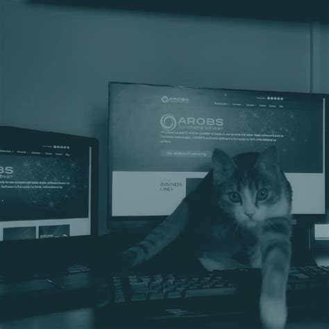 25 Reasons To Join Arobs Arobs Transilvania Software Development