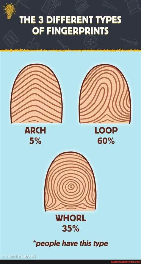 The 3 Different Types Of Fingerprints The 3 Different Types Of