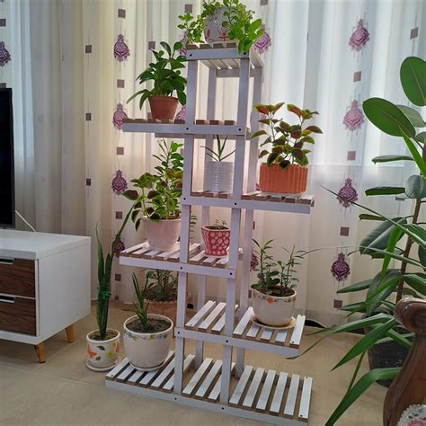 خرید و قیمت استند گل شیک مدل کاکتوسی پلاس سایز بزرگتر و فضای گل بیشتر شیک و کلاسیک از غرفه Stand