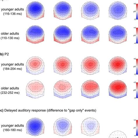 Topographic Distributions Of The Group Mean Erp Effects Topographies