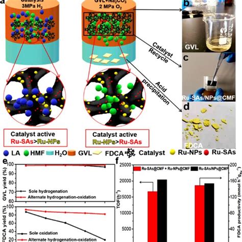 Catalytic Reaction Process In A Biphasic Solvent And Performance Download Scientific Diagram