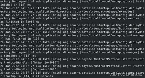 Apache Tomcat 安全漏洞cve 2020 13935复现 Csdn博客