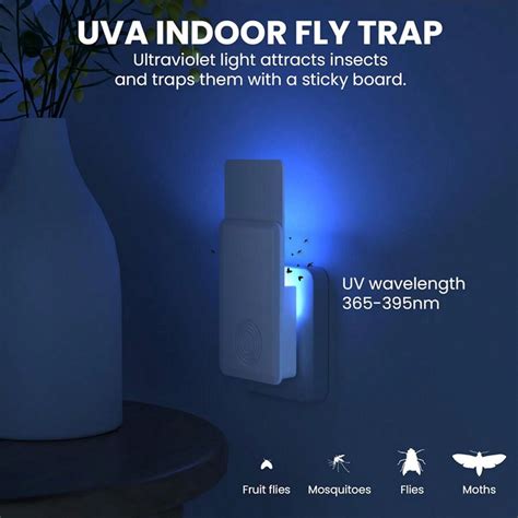 Fly Trap Indoor Fruit Fly Insect Traps For Indoors Catcher And Killer For
