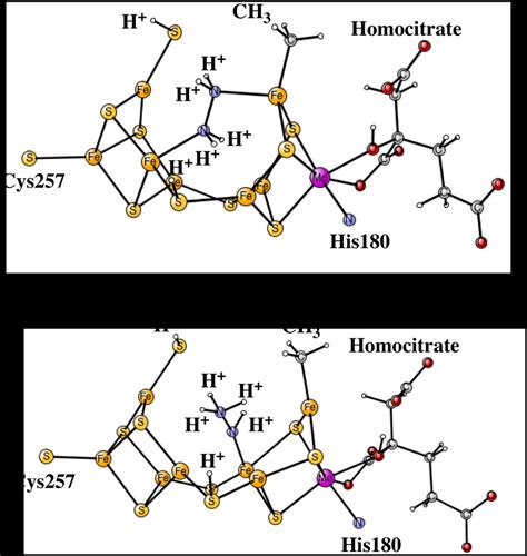 The Core Structures For The Mofe Cofactor Of Nitrogenase In The E 7 H 2