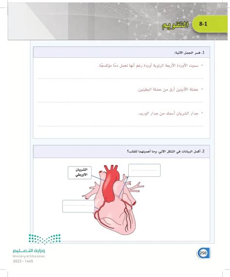 أكمل البيانات في الشكل الآتي، وما أهميتهما للقلب؟ عين 2024 مكونات
