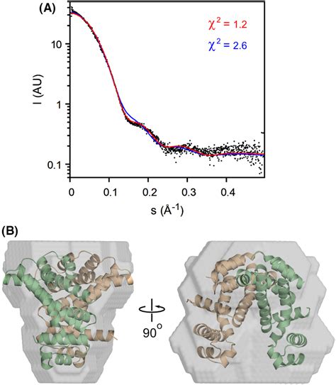 Saxs Analysis Of Sco3201 In Solution A Experimental Saxs Data Black Download Scientific
