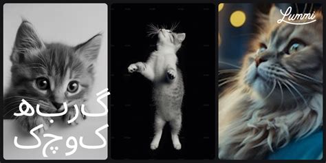 گربه کوچک Images — Free Hd Download On Lummi