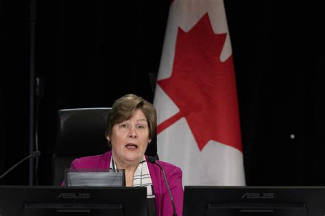 Analysis Foreign Interference Inquiry What The Declassified Documents Have Revealed The