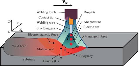 Schematic Diagram Of Gmaw Process And The Force Of Molten Pool Download Scientific Diagram