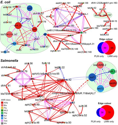 Comparative Networks For Detected Alleles Of Acquired Amr Genes In 169