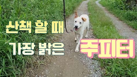 산책 할 때 가장 밝은 주피터 Youtube