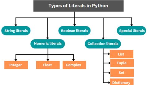 Python Literals Skill101