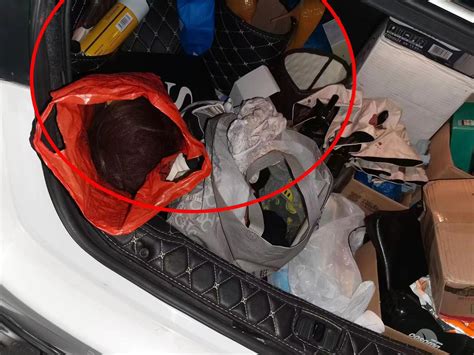 车辆逾期未年检，上海一男子变造号牌又扮女装还是被抓