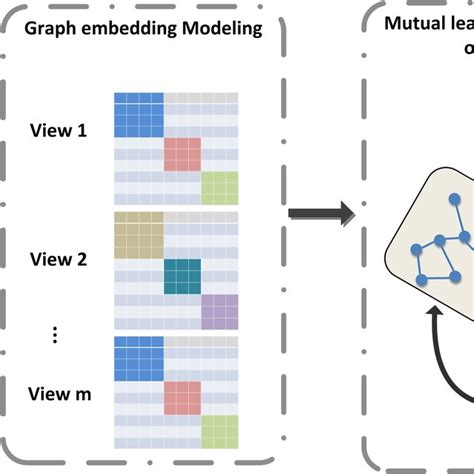 The Flow Chart Of The Proposed Graph Regularized Multi View Learning