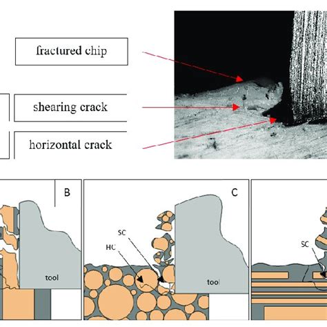 Graphics Shows The Process Of Cutting Cortical Bone Tissue Graphics Download Scientific