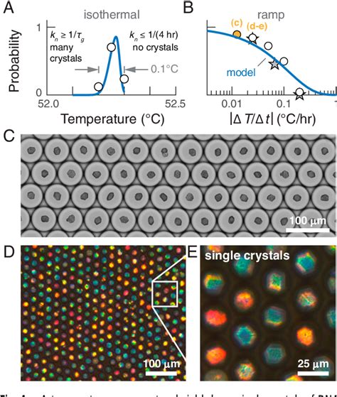 Figure 1 From Self Assembly Of Photonic Crystals By Controlling The Nucleation And Growth Of Dna