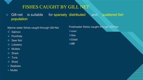 Ppt Gill Net Purna Pptx
