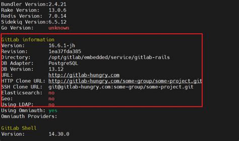 Gitlab如何查看版本 Gitlab如何查看提交次数 GitLab中文网站