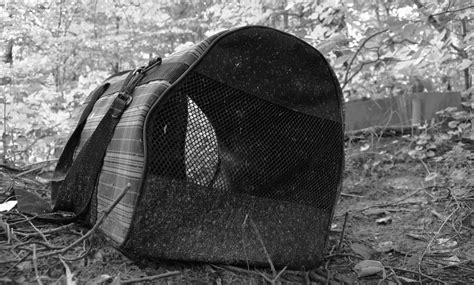 Кладбище домашних животных Пикабу