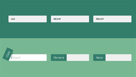 16 Best Css Input Text 2024 Free Html Designs