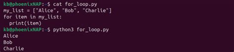 Python For Loop Syntax Usage Examples
