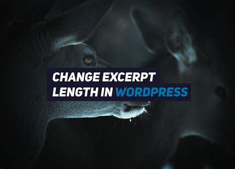 How To Change Excerpt Length In WordPress Renat Galyamov