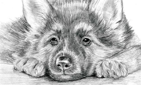 Piešiniai Pieštuku Spalvinimui 🏼 Pepe Lt