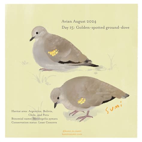 Original Drawn By Kami To Sumi Danbooru