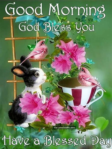 God Good Morning Quotes Images At Susan Pittman Blog