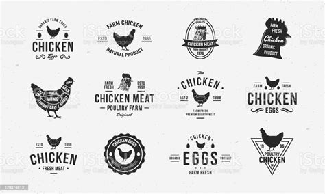 벡터 치킨 헨 빈티지 로고 세트 가금류 비즈니스 도살장 육류 가게 레스토랑 메뉴 디자인을위한 12 트렌디 한 복고풍 엠블럼 및 포스터 템플릿 치킨 컷 다이어그램 닭고기 계란