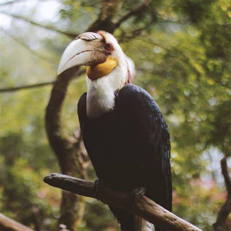 Myanmar Wildlife Experiences In An Ethical And Sustainable Way