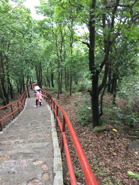 2024皂幕山旅游风景区游玩攻略 其实登山道旁的风景也不错 去哪儿攻略
