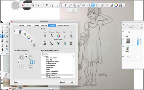 solved shortcut key for flipping canvas horizontally autodesk community