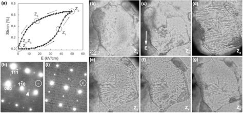 Electric Fieldinduced Phase Transition Revealed By Strain Measurement